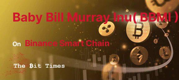 Baby Bill Murray Inu( BBMI ) info, Baby Bill Murray Inu( BBMI ) chart ...