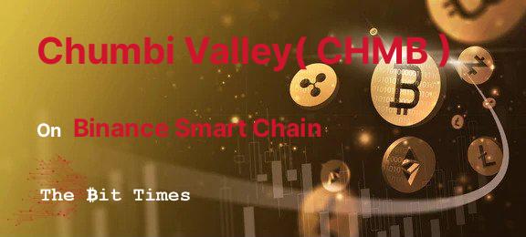 ChumbiValley( CHMB ) 정보, ChumbiValley( CHMB ) 차트, 시가 총액 및 가격 ...