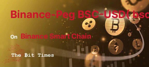 Binance-PegBSC-USD( bsc-usd ) Price and Market Stats | TheBitTimes.Com